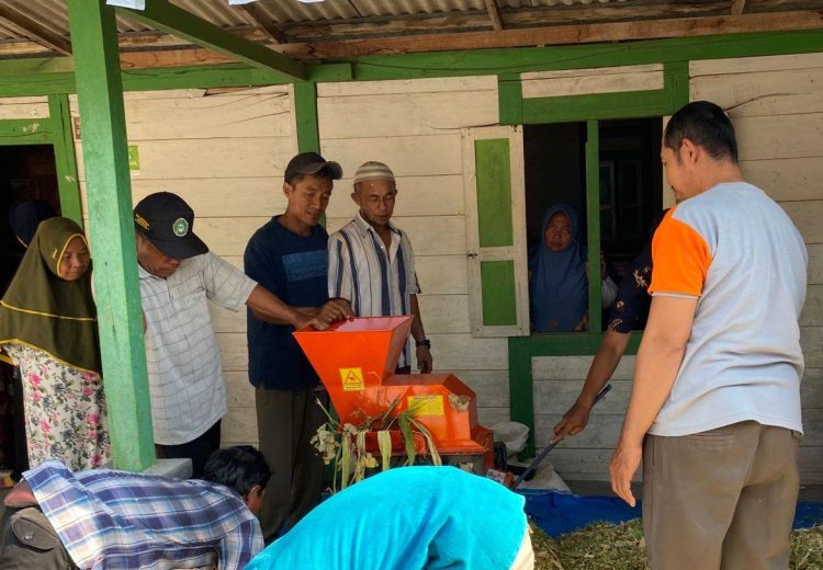 Apa Itu Lembaga Pemberdayaan Masyarakat dan Mengapa Perannya Semakin ...