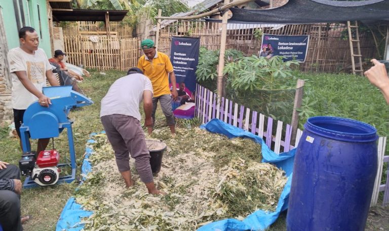 Pertanian Terpadu Lokadesa Gelar Pelatihan Fermentasi Pakan Ternak Silase di Polewali Mandar ...